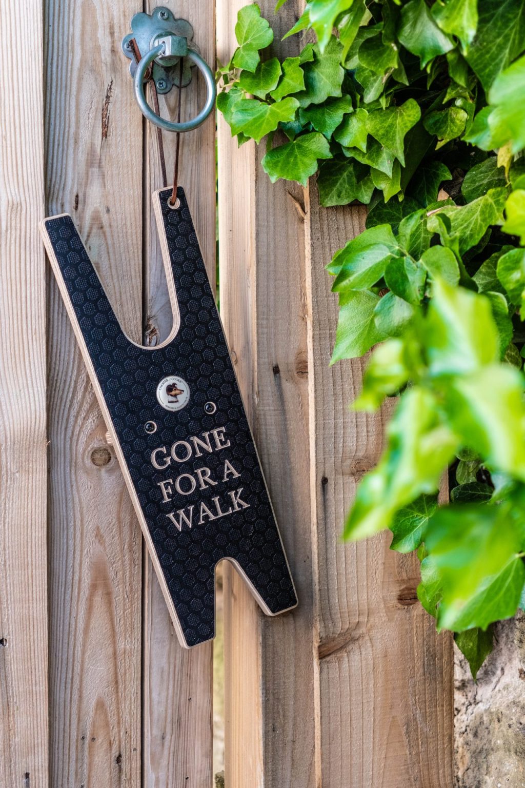 5 dog products for a wet dog walker this soggy Spring - Chester Cooke