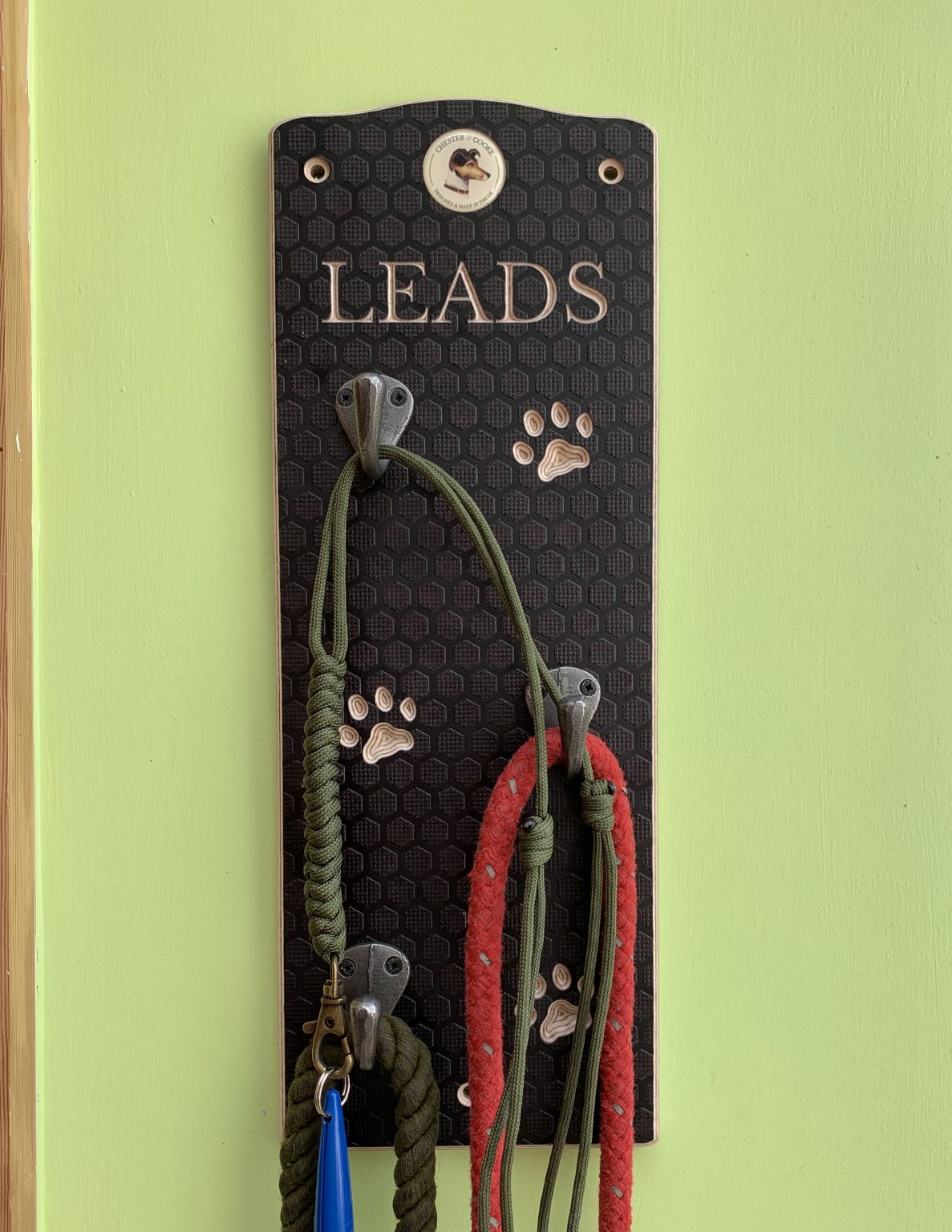 5 Reasons to use a dog lead rack - Chester Cooke