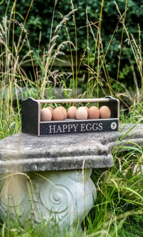 Egg Holder - Chester Cooke