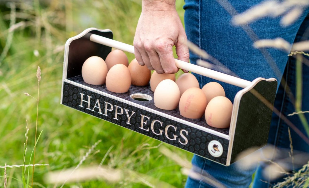 Egg Holder - Chester Cooke