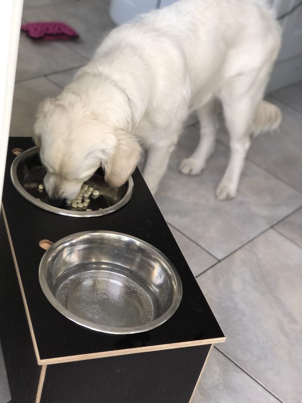 Dog Bowl Stand - Chester Cooke